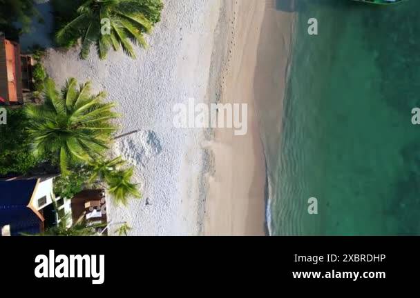 Wake up to gentle waves, golden light, and palm trees swaying on a ...