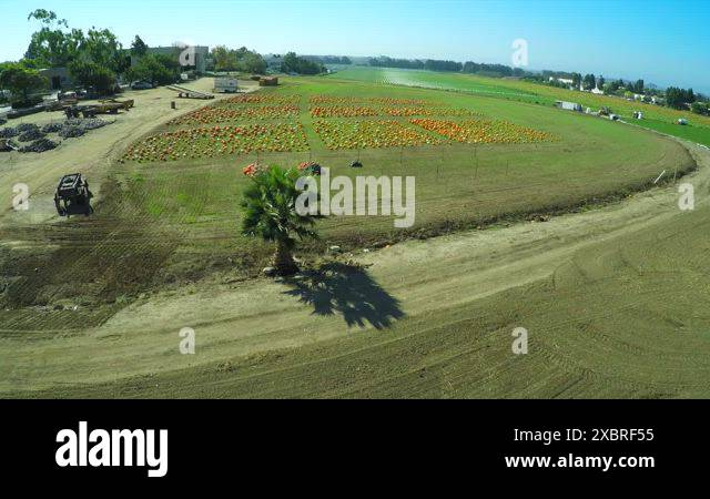 Vegetable patch and aerial Stock Videos & Footage - HD and 4K Video ...