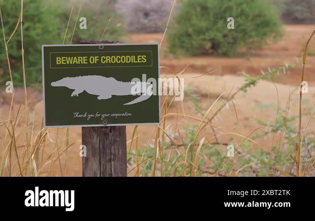 Beware of crocodiles warning sign Stock Videos & Footage - HD and 4K ...