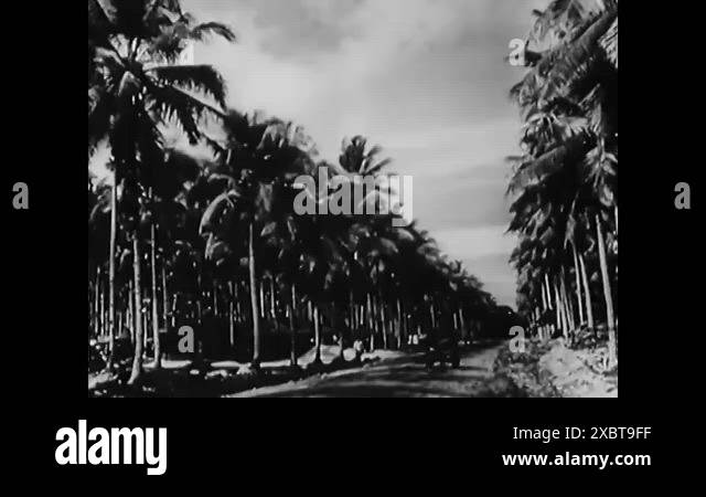 Airfields, roads and bases are constructed by the Navy Seabees during ...
