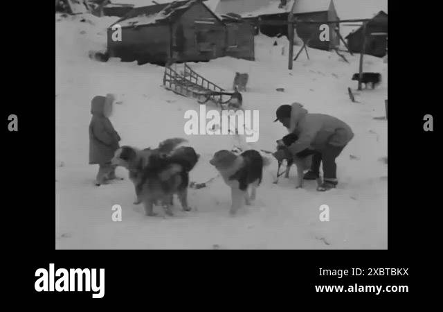 The villagers of an Eskimo town in Alaska hunt walrus and use dogsleds ...