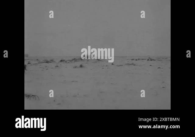 The villagers of an Eskimo town train to become soldiers during the ...