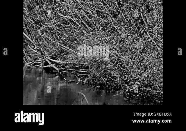 Fish ranch road Stock Videos & Footage - HD and 4K Video Clips - Alamy
