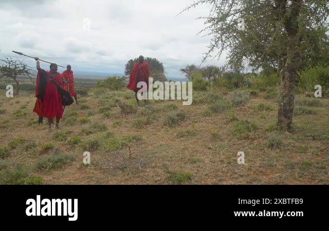 Maasai warrior tree Stock Videos & Footage - HD and 4K Video Clips - Alamy
