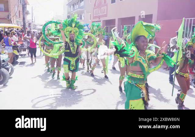 Dancers parade during carnival Stock Videos & Footage - HD and 4K Video ...