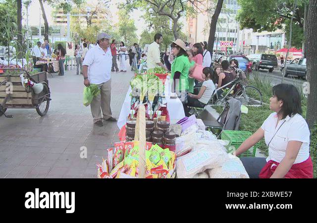 Chapultepec avenue in guadalajara Stock Videos & Footage - HD and 4K ...