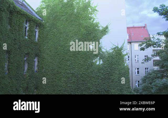 Neighbor windows Stock Videos & Footage - HD and 4K Video Clips - Alamy