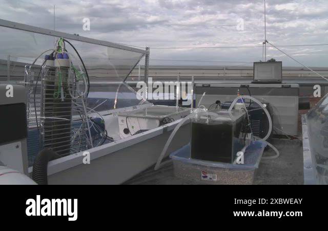 Dolly movement from one flat panel towards other test flasks at an ...