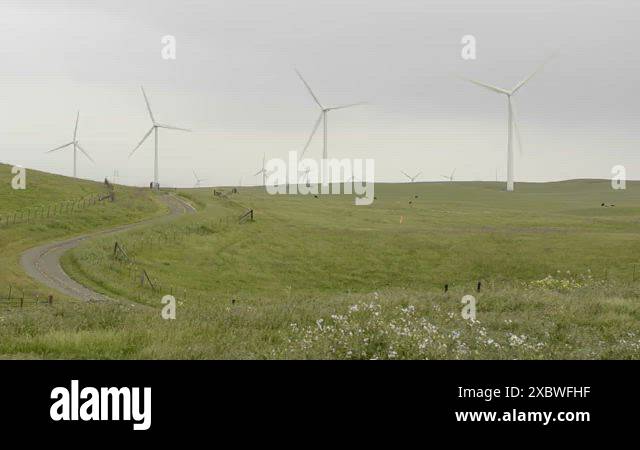 Road leading into a farm of wind turbines generating electricity on ...