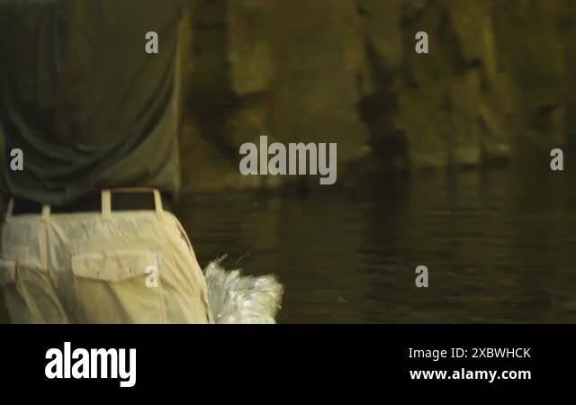 Man wade in water Stock Videos & Footage - HD and 4K Video Clips - Alamy