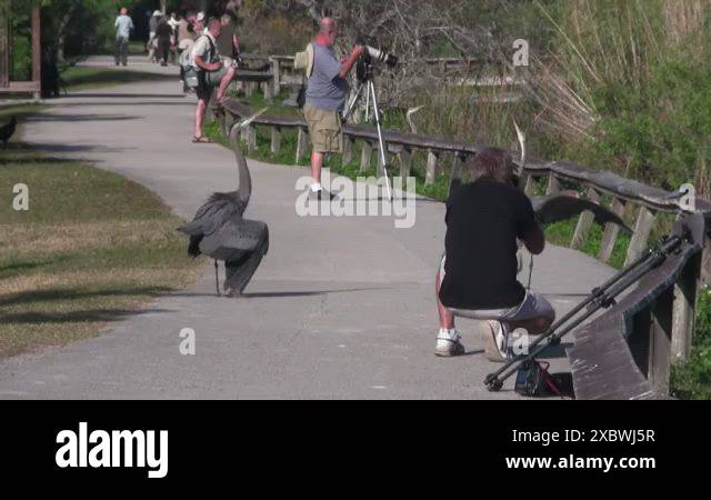 Ritual pathway Stock Videos & Footage - HD and 4K Video Clips - Alamy
