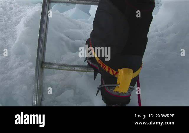 Ladder rungs Stock Videos & Footage - HD and 4K Video Clips - Alamy