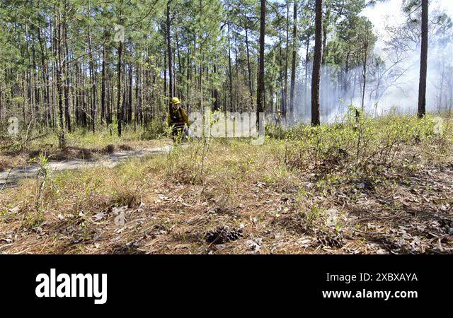 Drip torch Stock Videos & Footage - HD and 4K Video Clips - Alamy