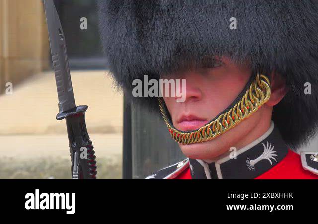 Buckingham palace beefeater Stock Videos & Footage - HD and 4K Video ...