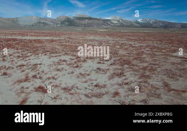 Red dome cones Stock Videos & Footage - HD and 4K Video Clips - Alamy