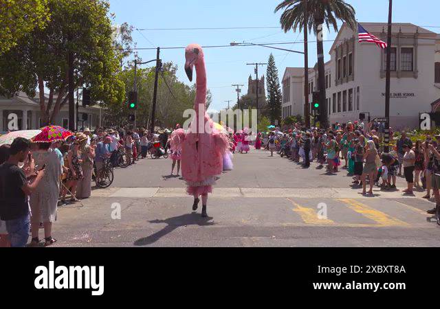 Solstice parade Stock Videos & Footage - HD and 4K Video Clips - Alamy
