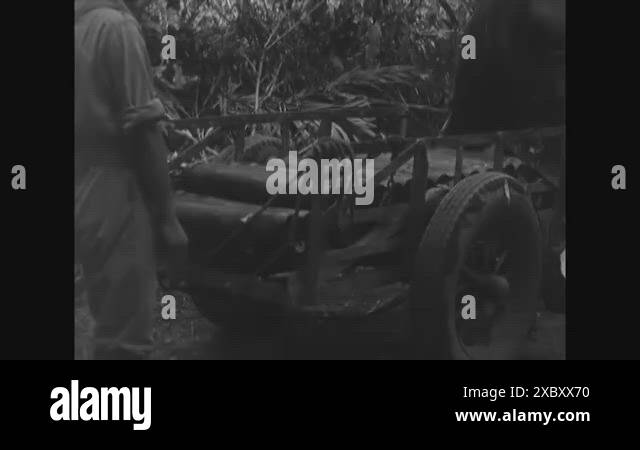 1944 - Chinese soldiers unload ammunition from pack trains and carry ...