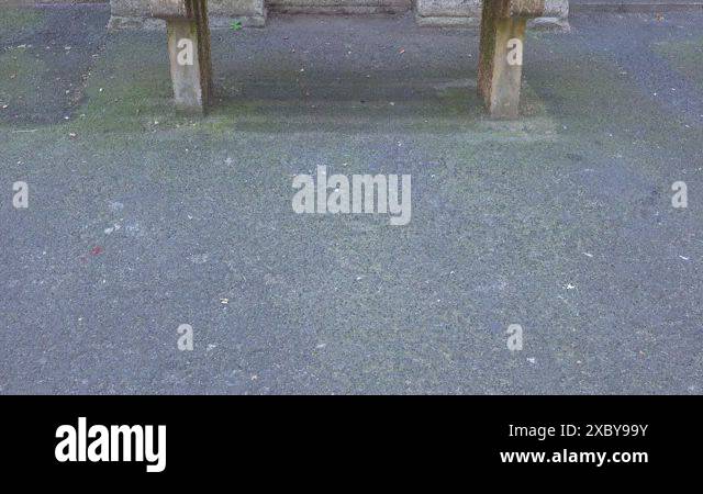 A bench sayings whites only along a street in Cape Town, South Africa ...