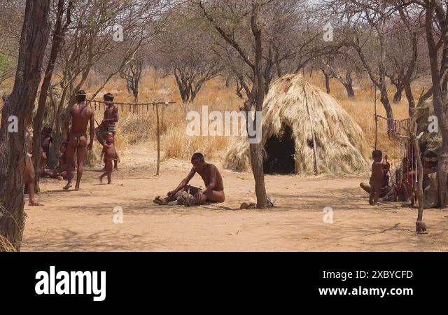 African tribe bushmen tribal tribe namibia Stock Videos & Footage - HD ...