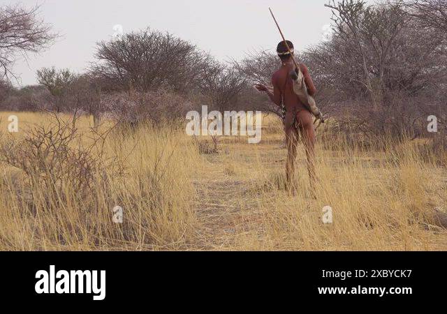 A San tribal bushman hunter in Namibia Africa, walks quiety, sniffs the ...