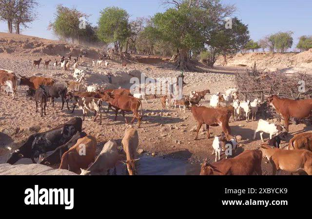 Rural namibia Stock Videos & Footage - HD and 4K Video Clips - Alamy