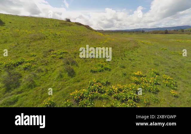 An aerial rising view of grasslands in the Pacific Northwest Stock ...