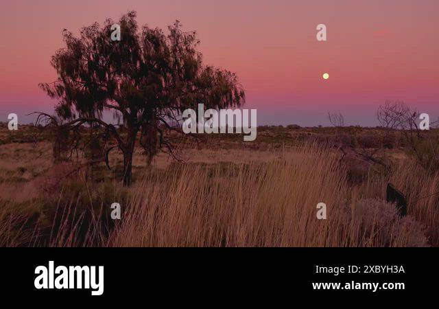 Outback sunrise Stock Videos & Footage - HD and 4K Video Clips - Alamy