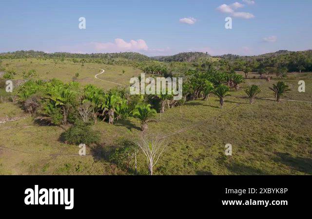Guatemalan farms Stock Videos & Footage - HD and 4K Video Clips - Alamy
