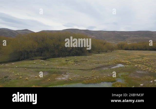 Bolson Stock Videos & Footage - HD and 4K Video Clips - Alamy