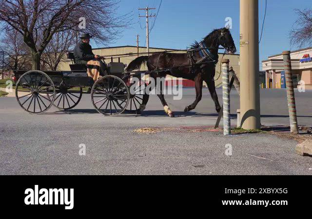 Amish man horse buggy Stock Videos & Footage - HD and 4K Video Clips ...