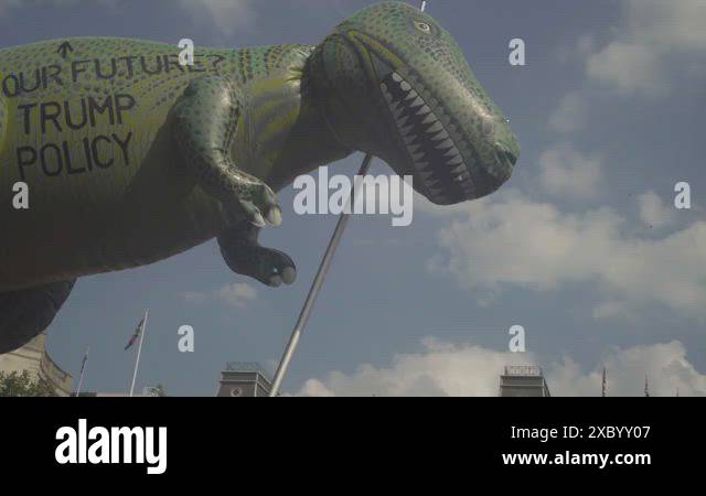 Dinosaur britain Stock Videos & Footage - HD and 4K Video Clips - Alamy