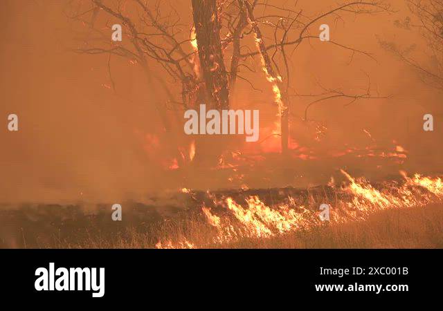 2021 - The Dixie Fire burns unchecked in a forest in Northern ...