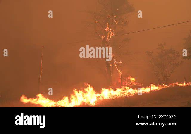 2021 - The Dixie Fire burns unchecked in a forest in Northern ...
