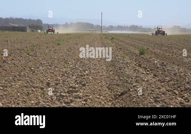 Farm tractors move across dry dusty landscape in California suggesting ...