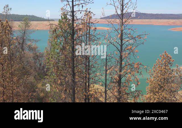 Drought conditions water shortage Stock Videos & Footage - HD and 4K ...