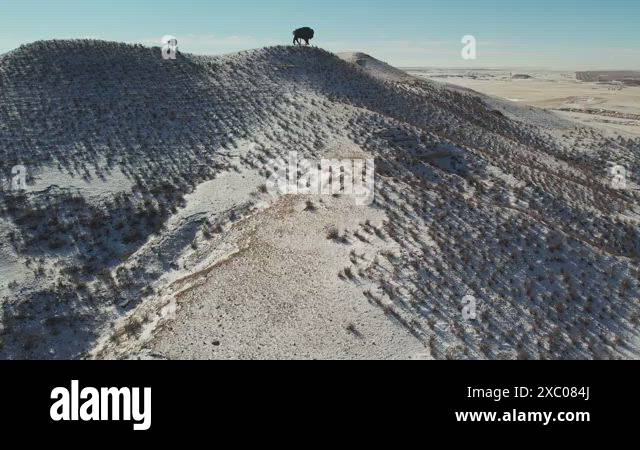 Stat shape Stock Videos & Footage - HD and 4K Video Clips - Alamy