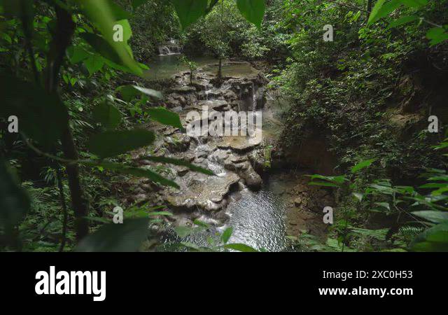 Lacandon forest Stock Videos & Footage - HD and 4K Video Clips - Alamy