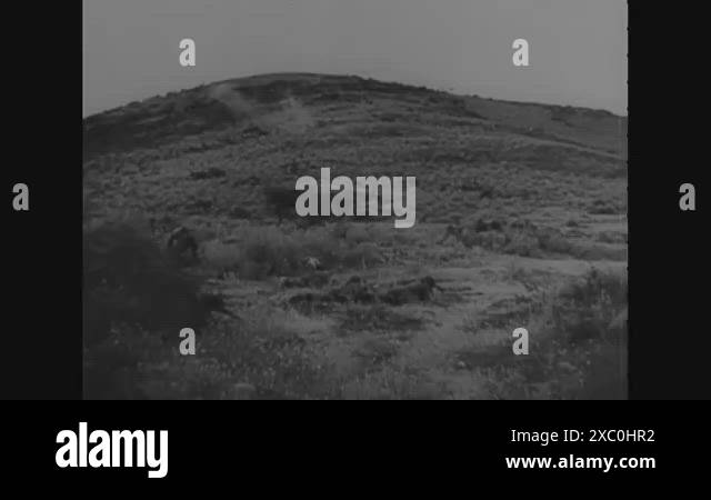 German soldiers crete Stock Videos & Footage - HD and 4K Video Clips ...