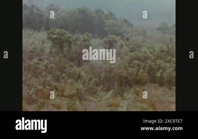 Napalm is dropped on villages during the Vietnam War causing massive ...