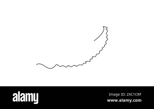 Jackfruit slice Stock Videos & Footage - HD and 4K Video Clips - Alamy