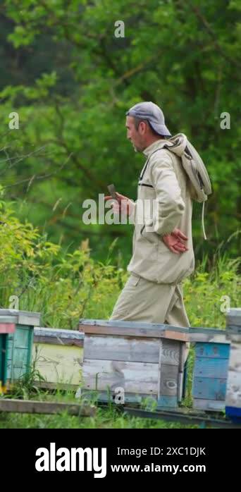 Apiarist goes along his bee hives and counts them. Man looking after ...