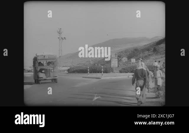 1945 - Road signs show directions to Jerusalem and Syria, cows are ...