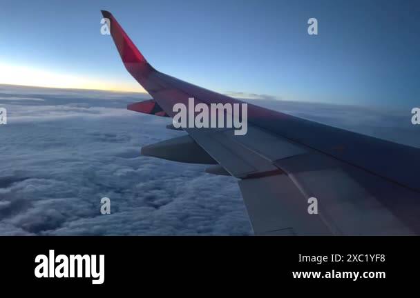 TAP Air Portugal aircraft wing, view from the airplane window to the ...