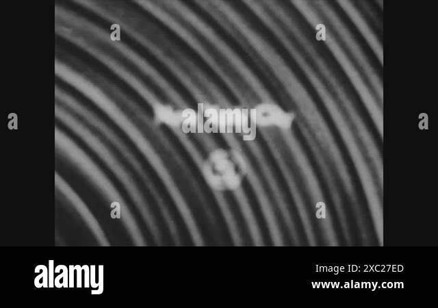 1957 - Track and field college stars Ron Delaney, Tom Courtney, Elias ...