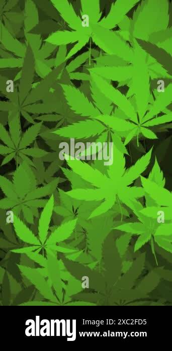 Vertical video - trippy psychedelic rippling cannabis leaf background ...