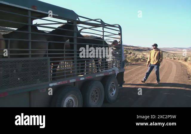 Open land management Stock Videos & Footage - HD and 4K Video Clips - Alamy