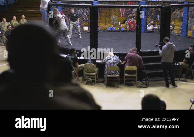 Cage fighting Stock Videos & Footage - HD and 4K Video Clips - Alamy