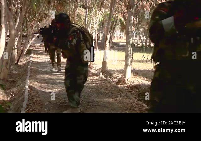 Jungle commandos Stock Videos & Footage - HD and 4K Video Clips - Alamy