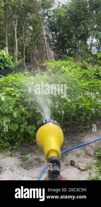 Leaf agriculture farming growth Stock Videos & Footage - HD and 4K ...