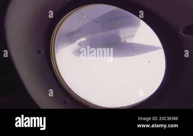 Florence eye Stock Videos & Footage - HD and 4K Video Clips - Alamy